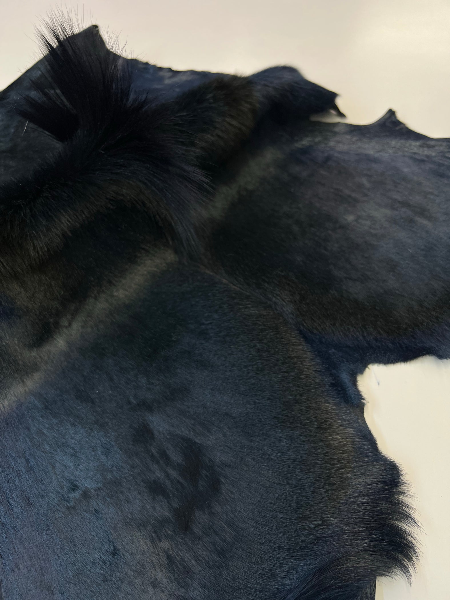 Click or scroll to zoom