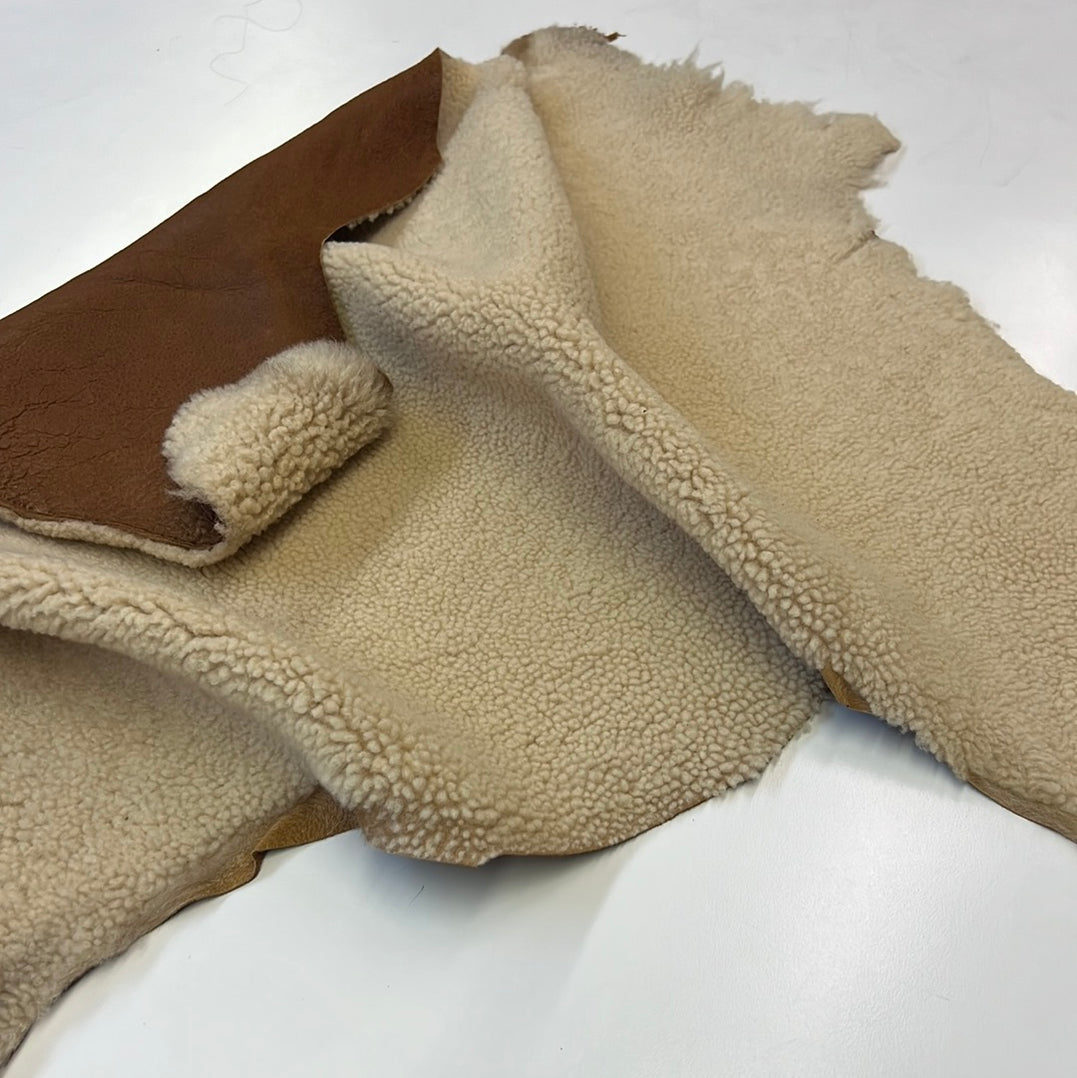 Click or scroll to zoom